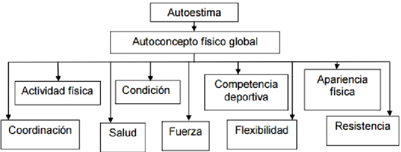 AUTOCONCEPTO FÍSICO Y ACTIVIDAD FÍSICA - EL AUTOCONCEPTO FÍSICO COMO ...