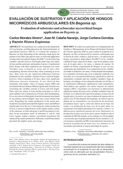 EVALUACIÓN DE SUSTRATOS Y APLICACIÓN DE HONGOS MICORRÍZICOS ...