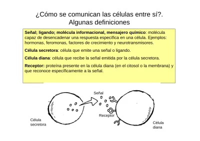 Tipos de receptores