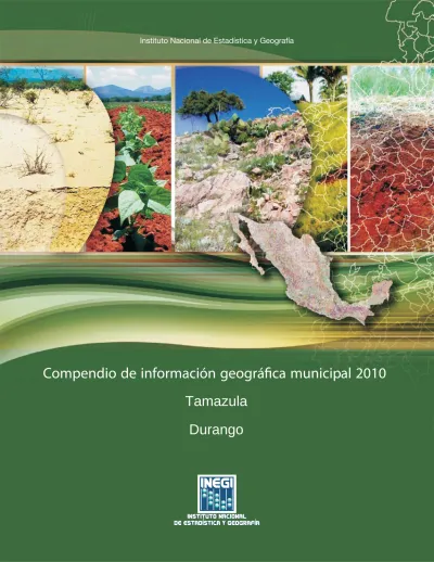 Compendio de información geográfica municipal Tamazula. Durango