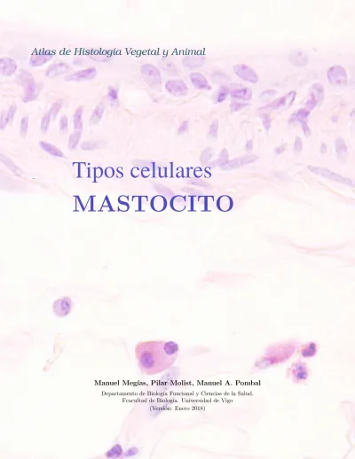 MASTOCITO Tiposcelulares AtlasdeHistolog´ıaVegetalyAnimal