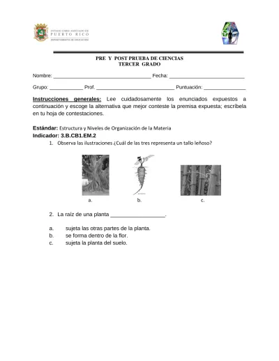PRE Y POST PRUEBA DE CIENCIAS TERCER GRADO. Nombre: Fecha: Grupo: Prof ...
