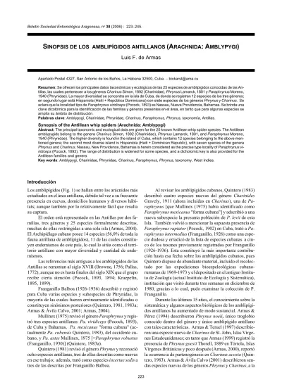SINOPSIS DE LOS AMBLIPÍGIDOS ANTILLANOS (ARACHNIDA: AMBLYPYGI)