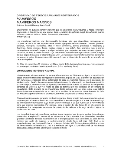 DIVERSIDAD DE ESPECIES ANIMALES VERTEBRADOS MAMÍFEROS MAMÍFEROS MARINOS ...