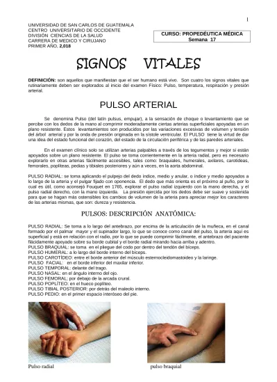 PULSO ARTERIAL PULSOS: DESCRIPCIÓN ANATÓMICA: