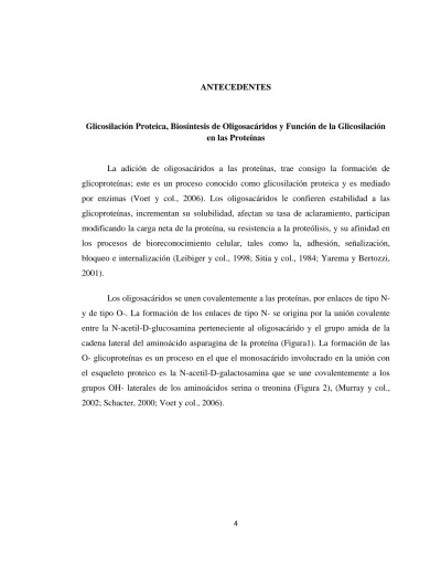 ANTECEDENTES. Glicosilación Proteica, Biosíntesis de Oligosacáridos y ...