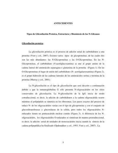 ANTECEDENTES. Tipos de Glicosilación Proteica, Estructura y Biosíntesis ...
