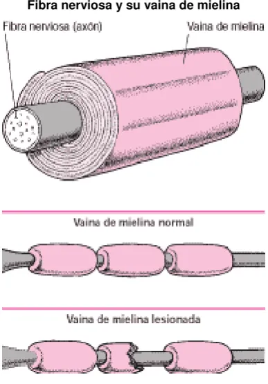 Eszopiclona – Marca NeoZetix - DESCRIPCIÓN MOLÉCULAS