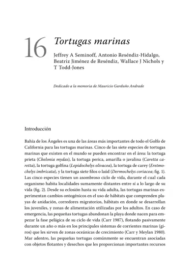 Historia de la investigación científica - Tortugas marinas. Jeffrey A ...