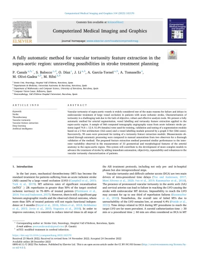 A fully automatic method for vascular tortuosity feature extraction in ...