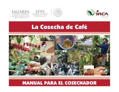 El Corte o Recolección del Fruto de Café - La Cosecha de Café MANUAL ...