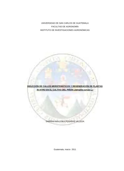 Inducción de callos meristemáticos y regeneración de plantas in vitro ...