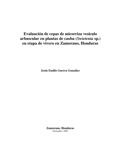 Evaluación de cepas de micorriza vesículo arbuscular en plantas de ...
