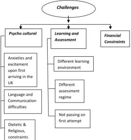 Super-ordinate and subordinate themes - Analysis and discussion