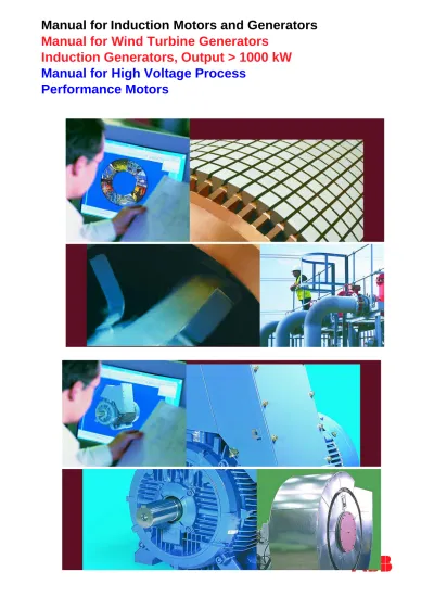 Insulation resistance test - Maintenance of stator and rotor windings