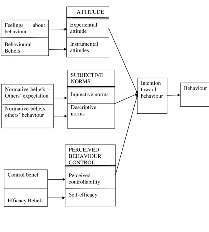 Theory of planned behaviour (TPB) - The theoretical framework
