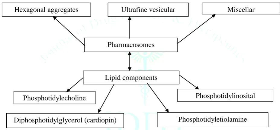 An updated review on pharmacosomes, a vesicular drug delivery system