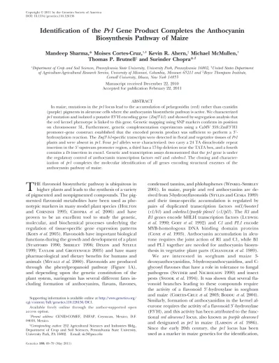 Identification of the Pr1 Gene Product Completes the Anthocyanin ...