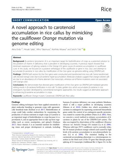 A novel approach to carotenoid accumulation in rice callus by mimicking ...