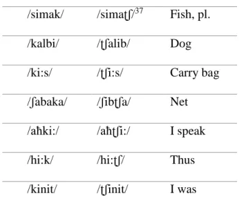 Vowel epenthesis - The linguistic variables