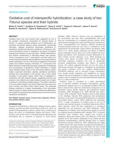 Oxidative cost of interspecific hybridization: a case study of two ...