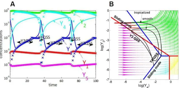 Quasi-steady state and Quasi-equilibrium, revisited